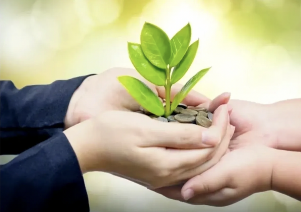 Carbon Credits - RoboServer